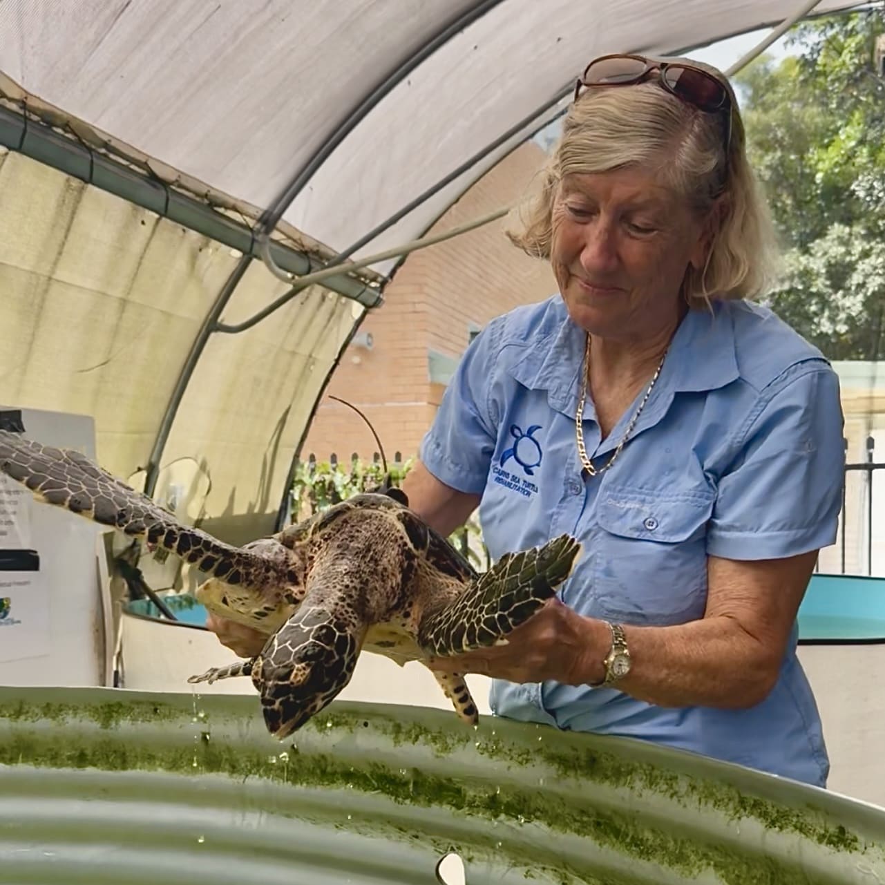 Dennis Sea Turtle Reef Release | Sunlover Reef Cruises